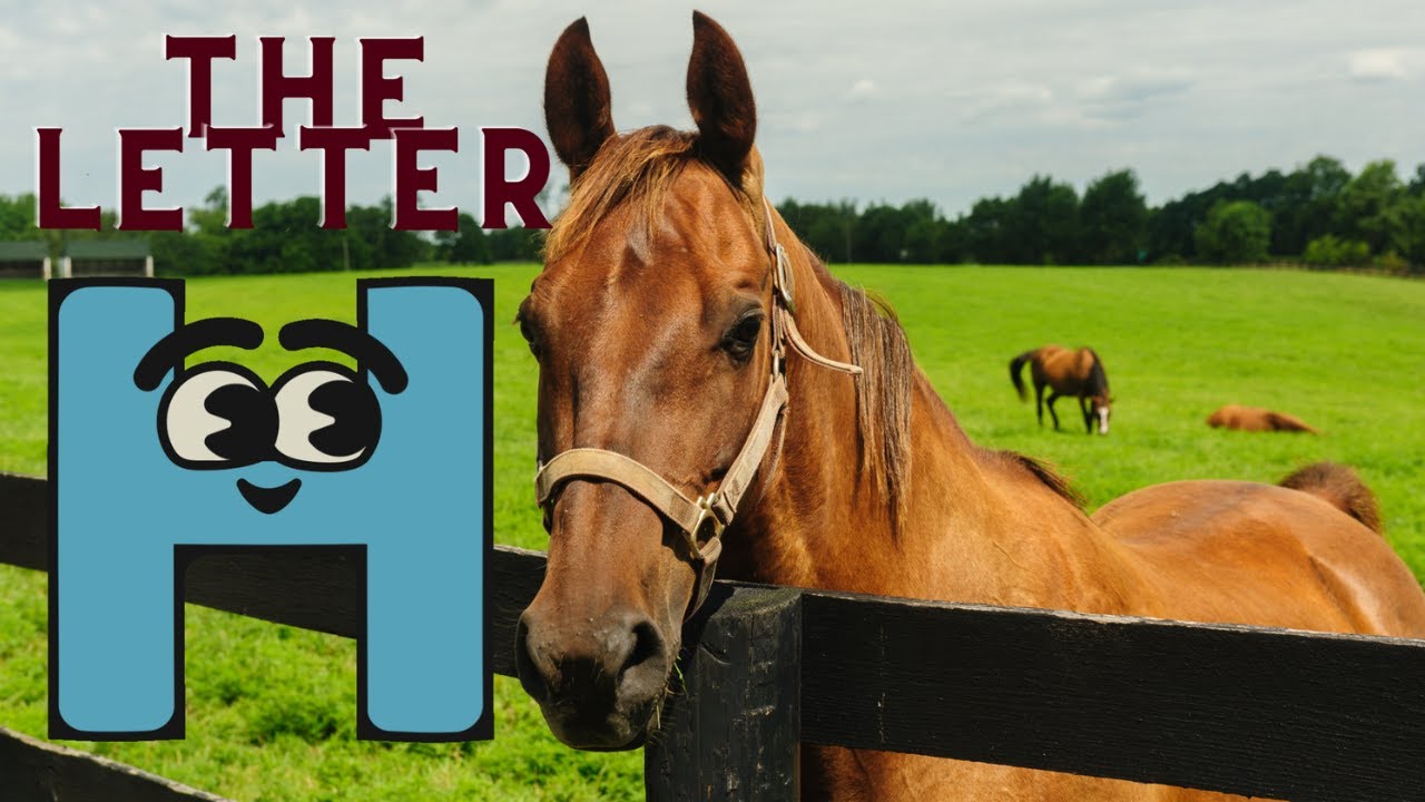 The Letter H Song! | Let's Learn & Sing | Fun Learning Songs for Kids ...