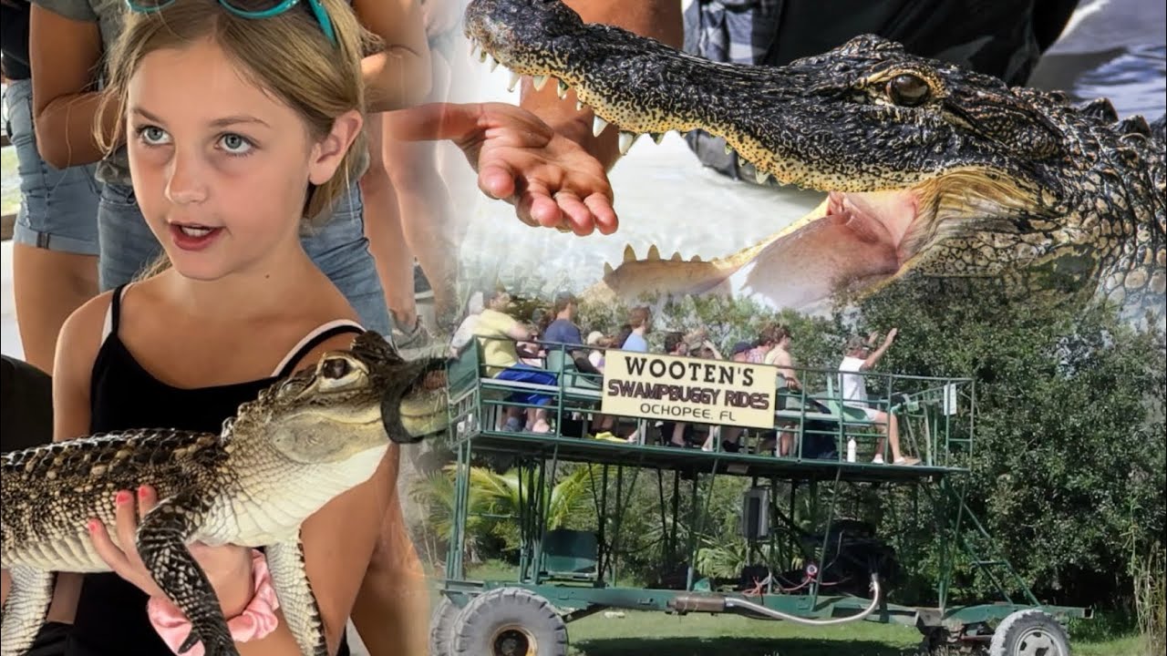 Everglades Florida | airboat tour |zoo| buggy ride - YouTube
