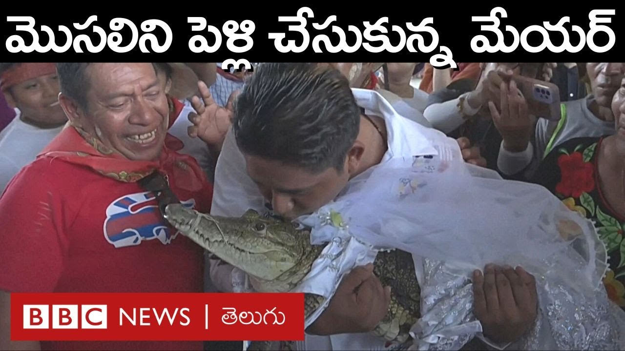 Man Marries an Alligator: ఆ ఊరి మేయర్ ఊరంతా పిలిచి ఒక మొసలిని పెళ్లి చేసుకున్నారు | BBC Telugu ...