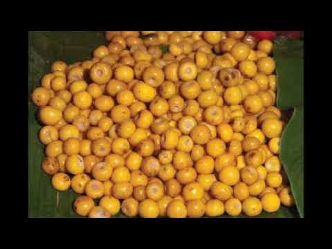 Frutas Conocidas de Guatemala. - YouTube