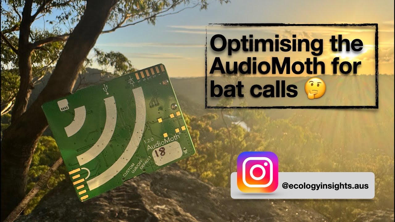 Optimising AudioMoth settings for recording bats - YouTube