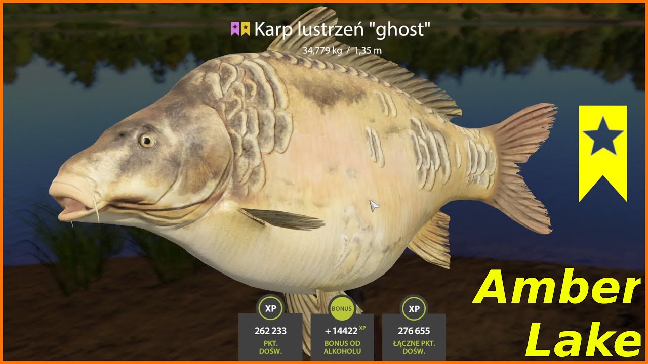 BIG CARP spot Trophy Mirror Carp Ghost 34KG Amber Lake Very active ...