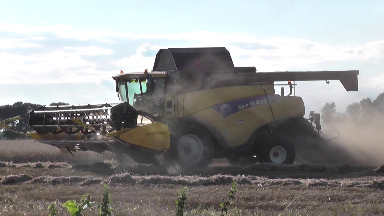 Roggen - Ernte 2017 mit ein New Holland CR 9080 - YouTube