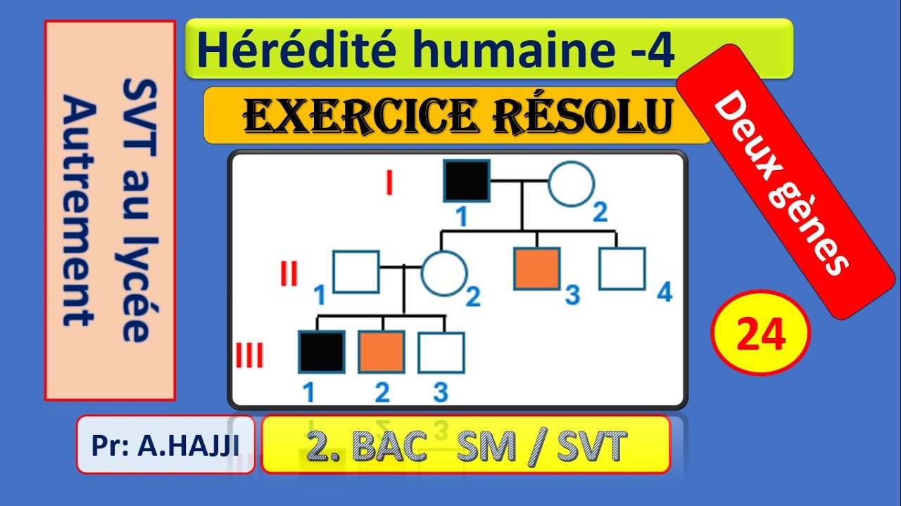 Hérédité humaine 4: exercice résolu sur la transmission de deux gènes ...