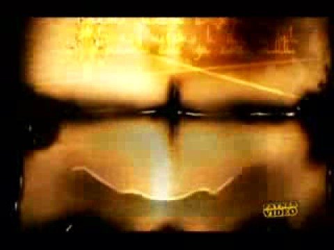 Kamelia - zaleza i zorata