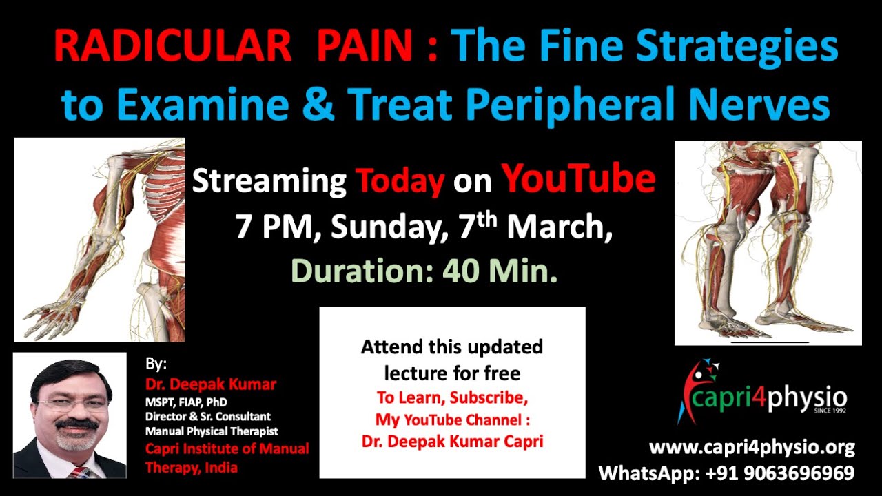 Radicular Pain : The fine strategies to examine and treat peripheral ...