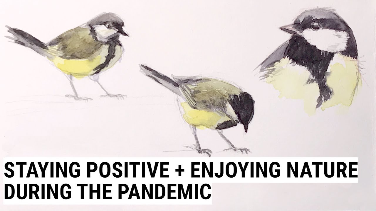How to stay positive and enjoy nature during lockdown - YouTube
