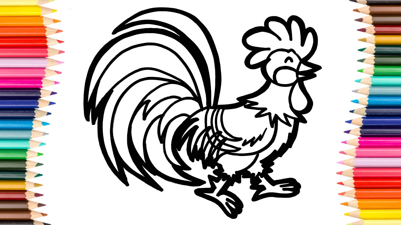 Drawing of a Cockerel for Kids - YouTube