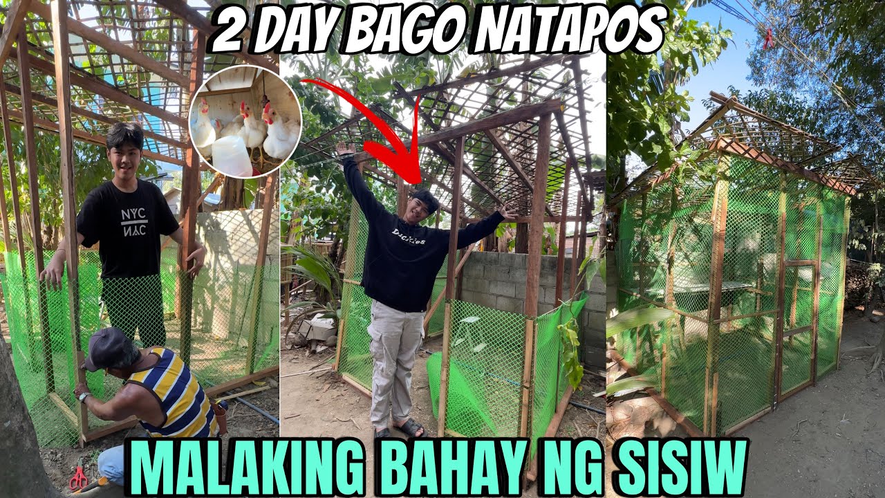 PINAKA MALAKING BAHAY NA PINAGAWA KO PARA SA MGA MAKUKULAY KONG SISIW ...