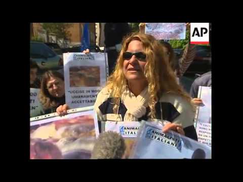 Protest outside Canadian embassy against seal cull