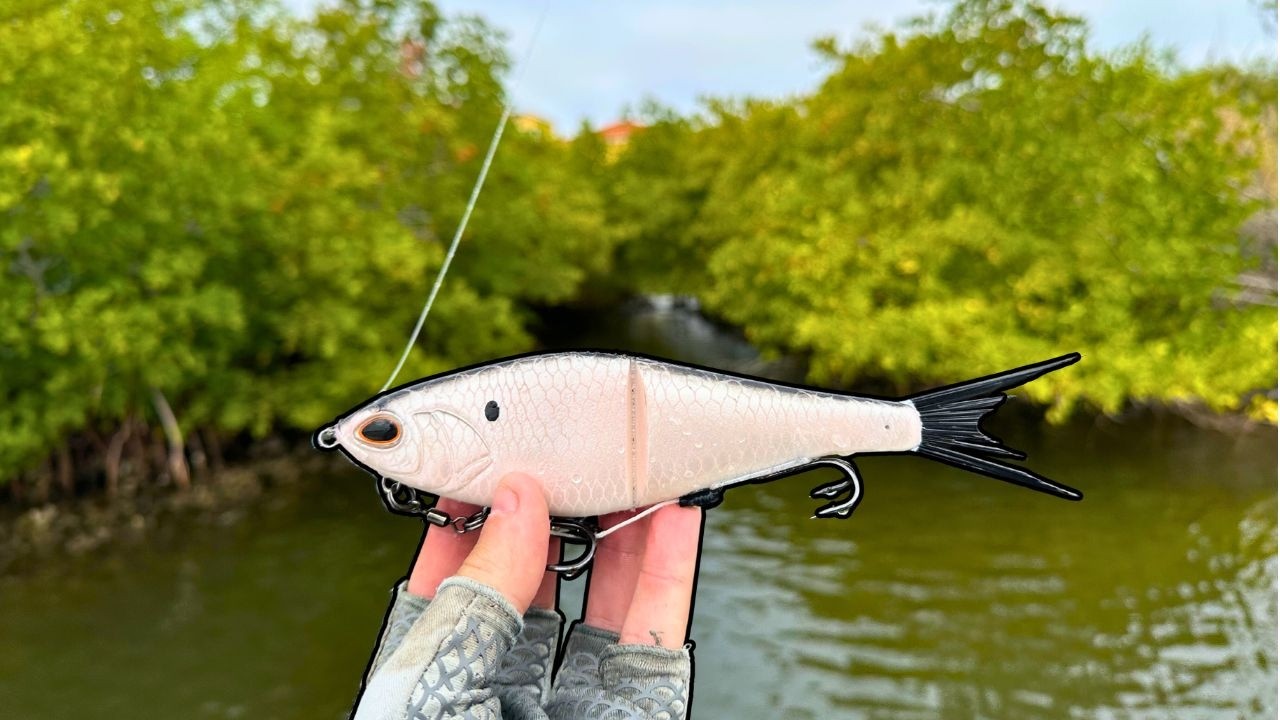 Chasing Massive Snook with BIG Glide Baits (Slam Success & Heartbreak ...