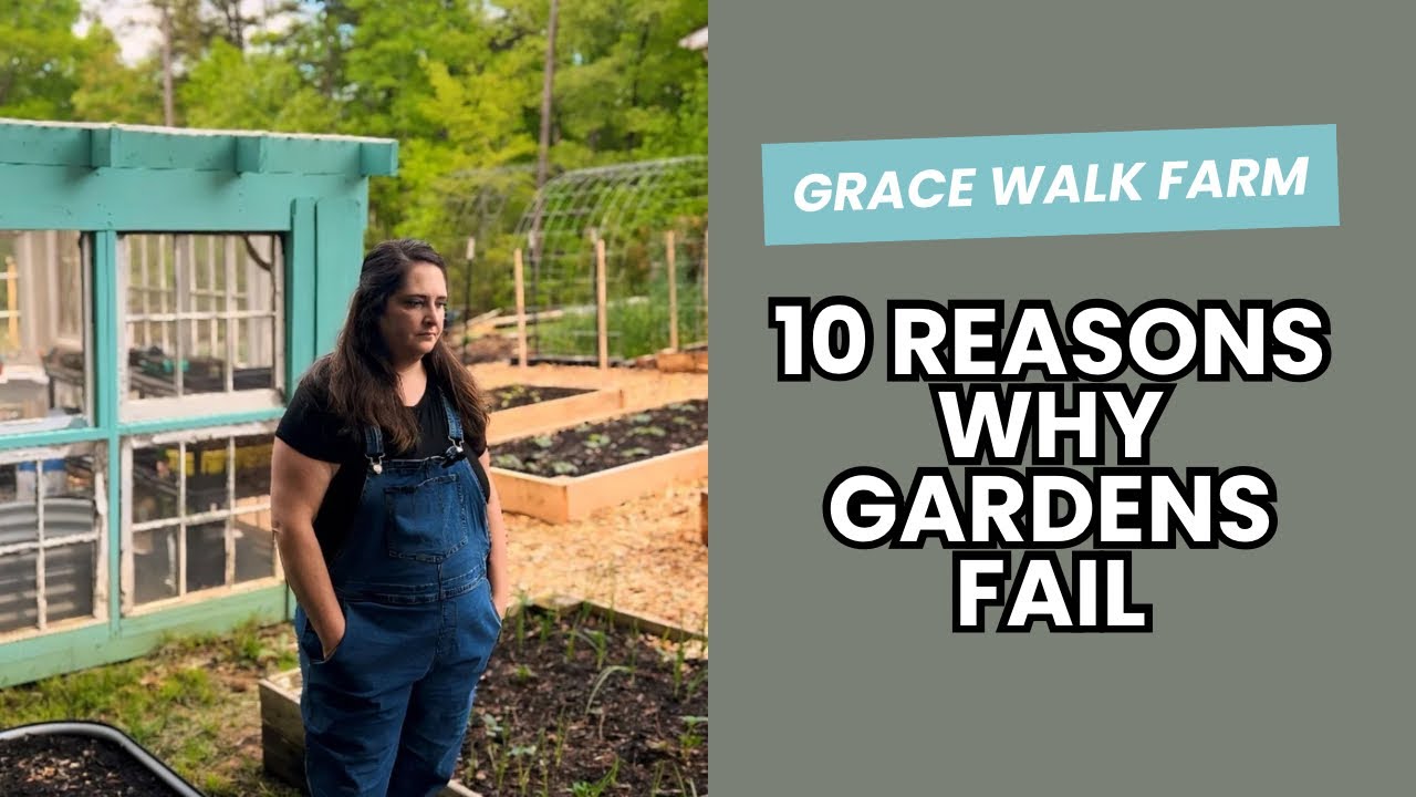Gardening 101 - 10 Reasons Why Gardens Fail - YouTube