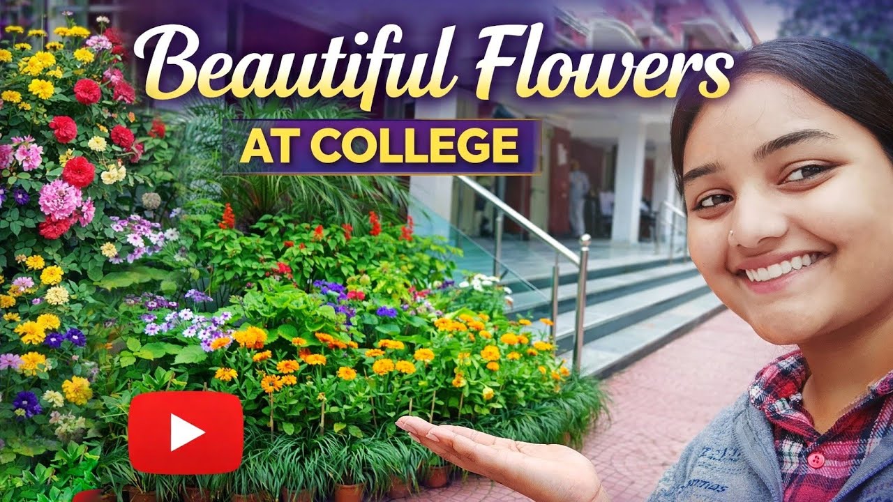 Beautiful flowers at college 💐(29/365) - YouTube