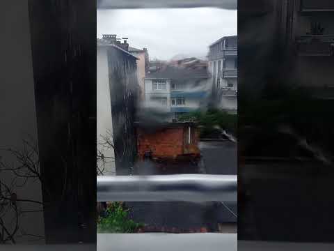 Serinletici video# kızgınsan bunu izle sakinleşirsiniz