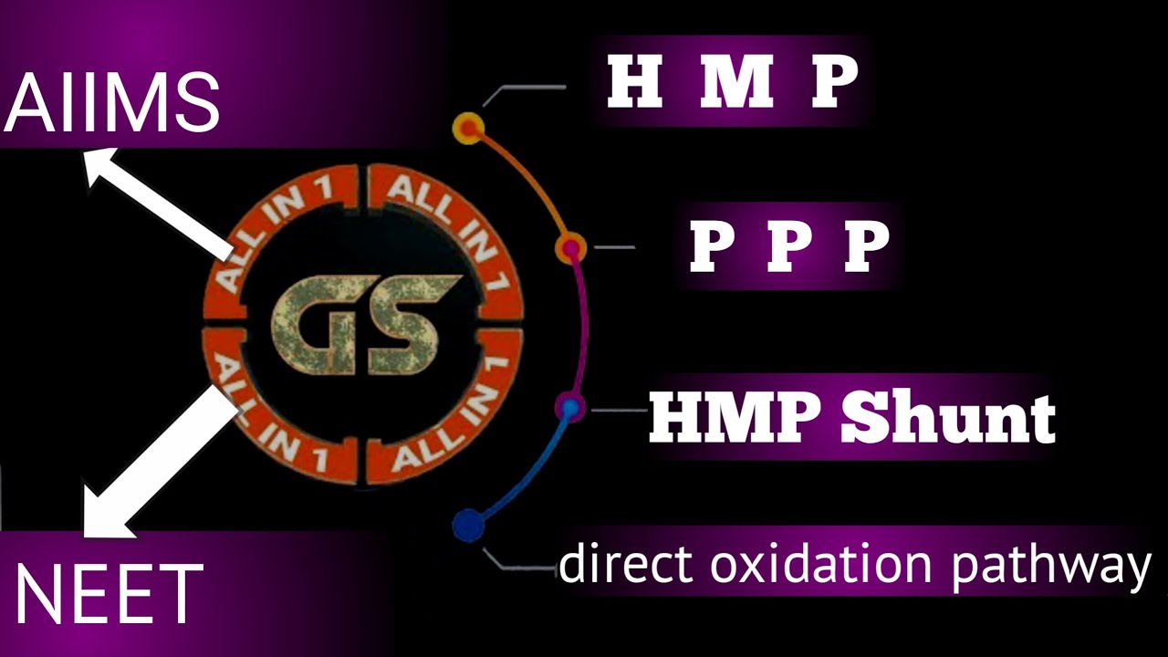 HMP Shunt/PPPpathway hexose monophosphate shunt direct oxidation ...