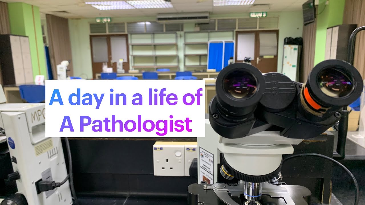 A day in a life of a pathologist - YouTube