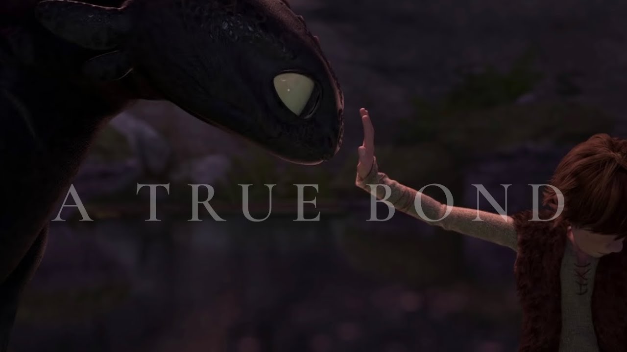A True Bond | HTTYD - YouTube
