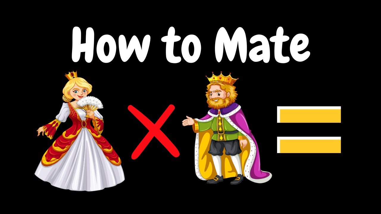 How to Mate? - YouTube