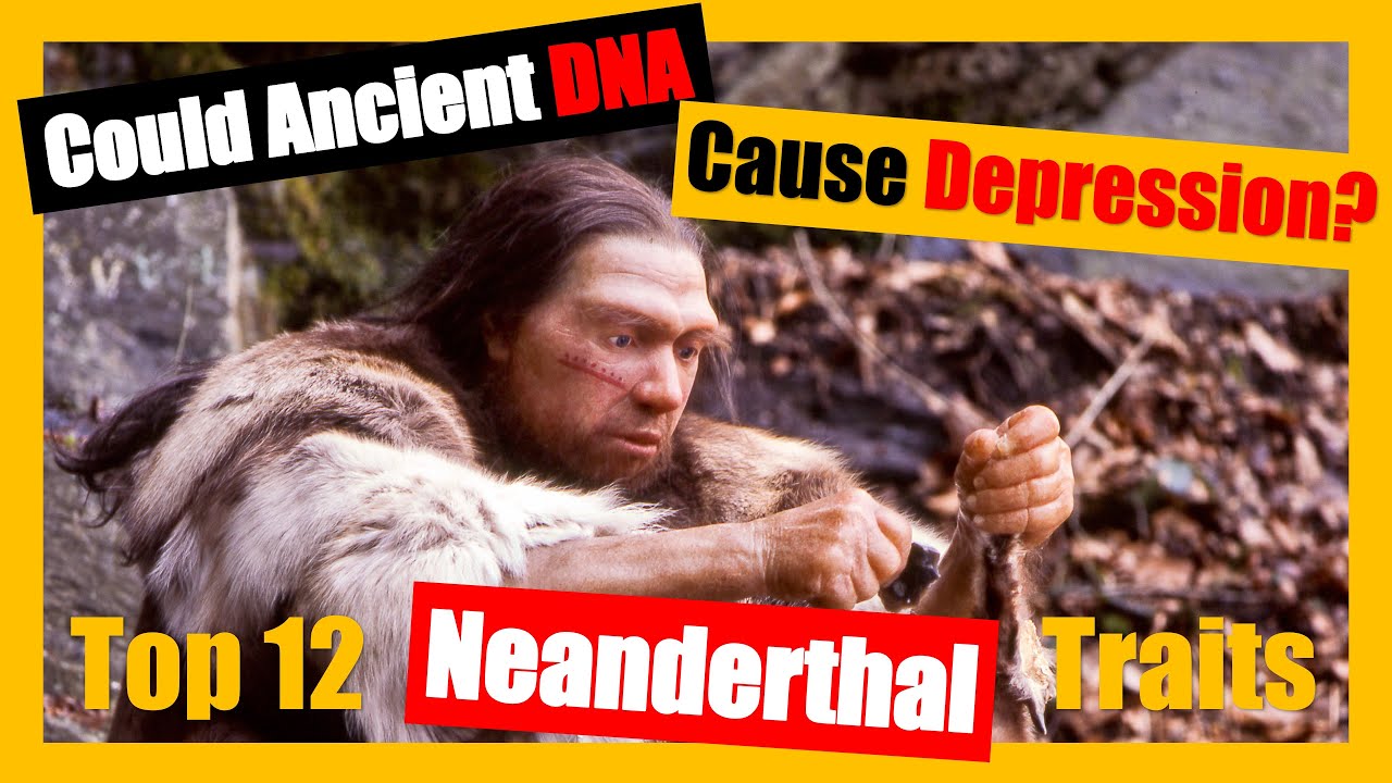Neanderthal DNA in Modern Humans: 12 Traits You Must Know #neanderthal ...