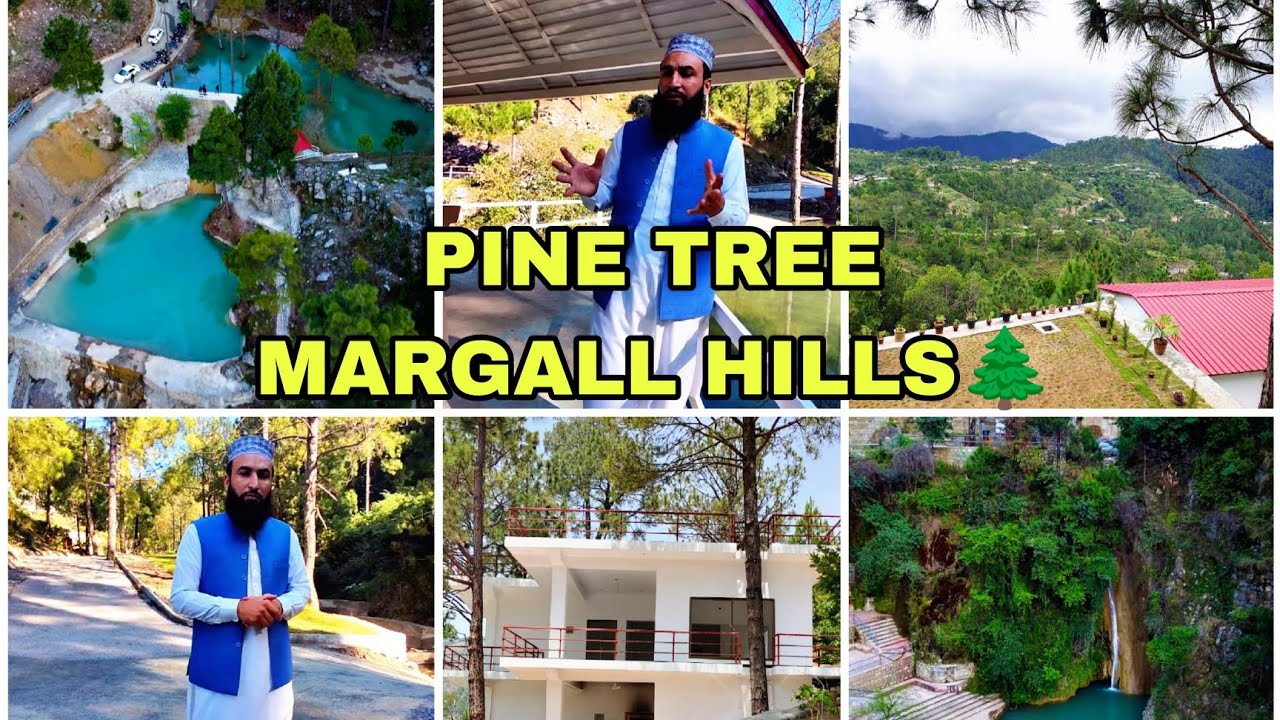 PINE TREE RESORT LIVING PHASE 2 MARGALLA HILLS ISLAMABAD 15 MINUTES ...