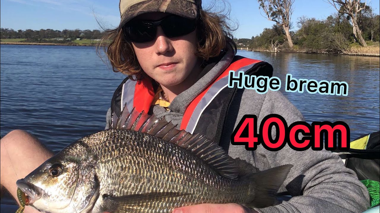 Monster 40cm Bream - Catch and cook - YouTube