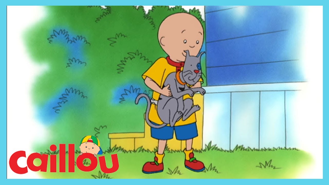 Caillou - Caillou en Kitty | Tekenfilms voor kinderen | WildBrain ...