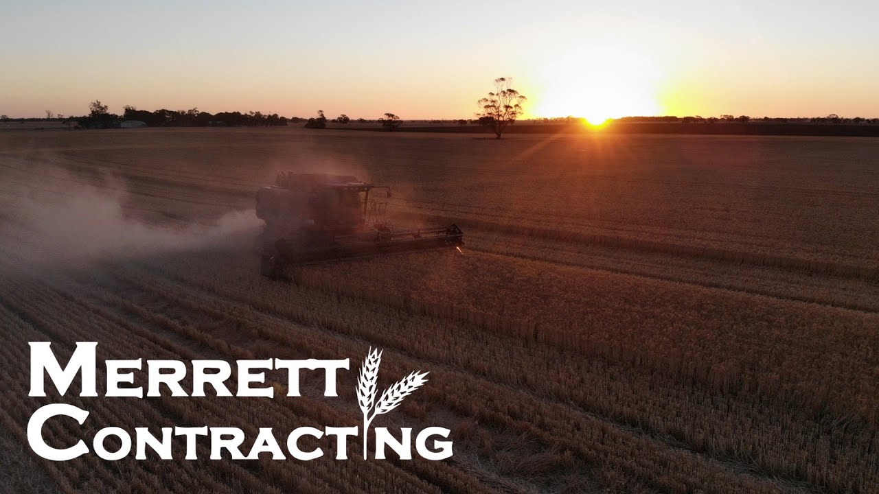 A Day In The Life Harvesting Wheat | Australian Wheat Farm | Case IH ...