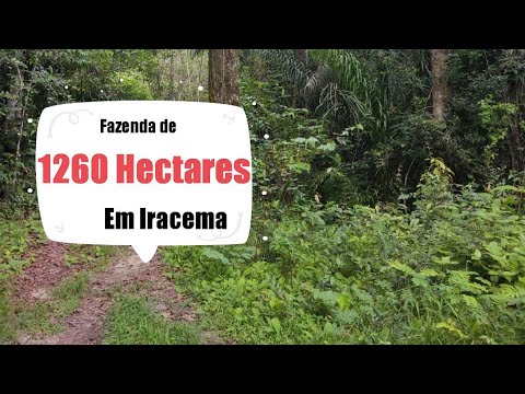 ⚠️ 21 lotes de 60 Hectares a venda na região de Iracema em Roraima ...