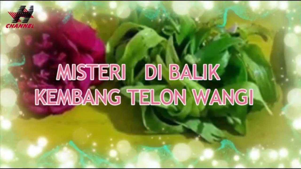 MISTERI KEMBANG TELON WANGI ( SEKAR TELUN WANGI) - YouTube