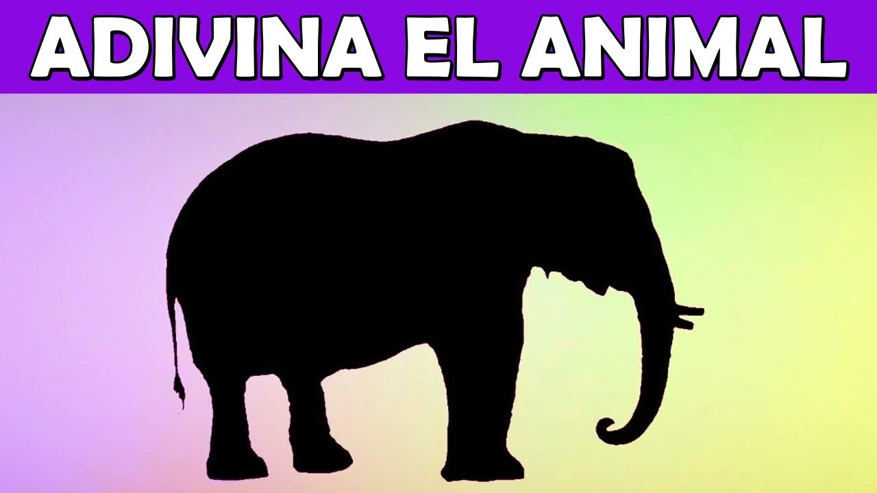 Adivina el animal por su silueta 🐨🦁🐷 Quiz de animales | Adivina los ...