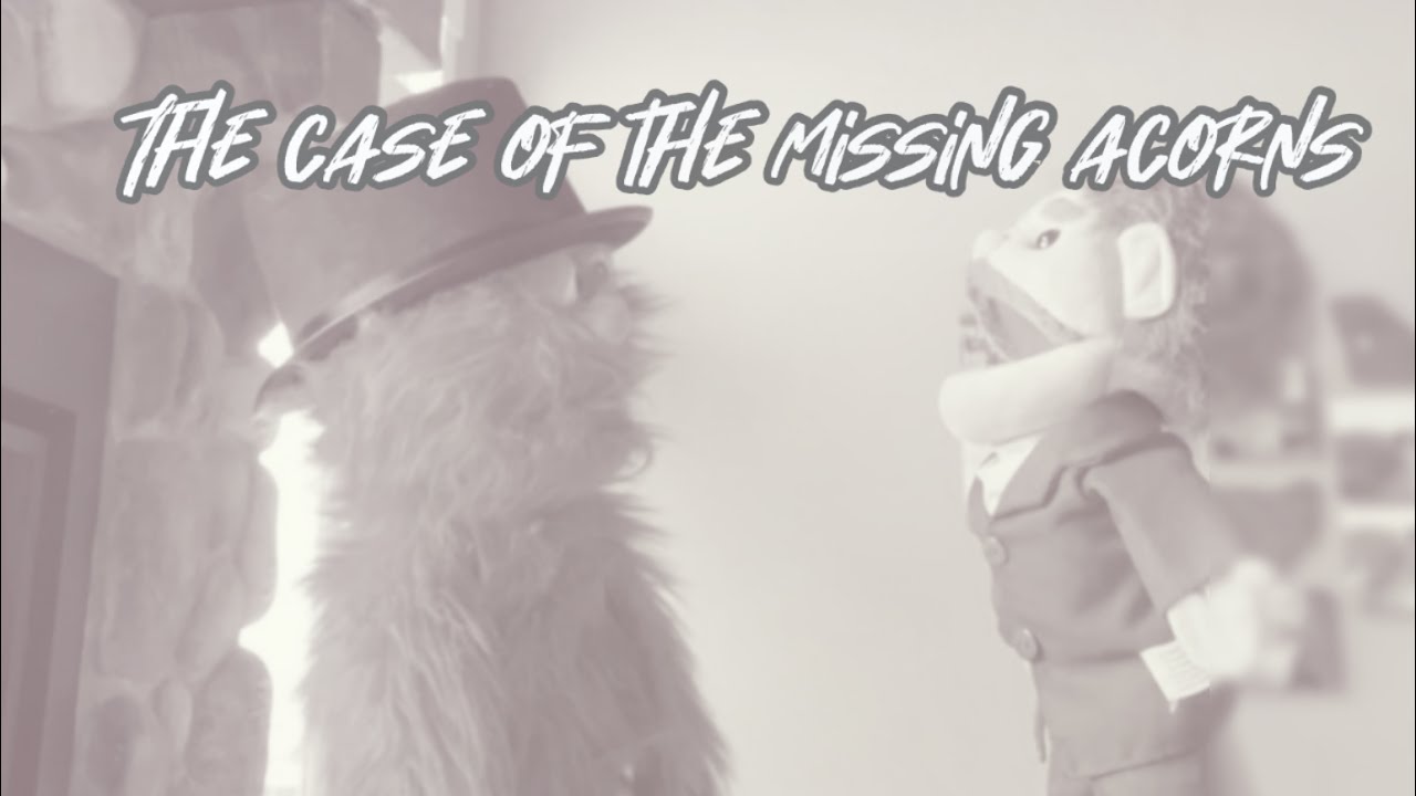 The case of the missing acorns - YouTube