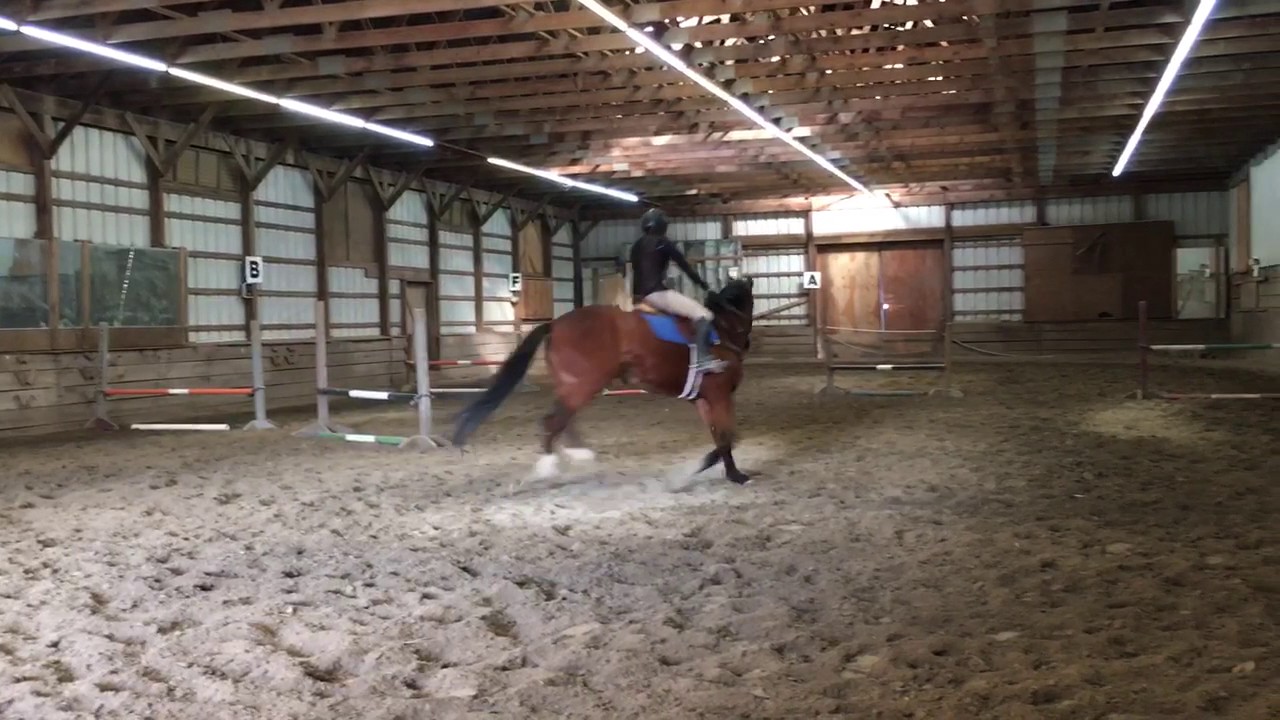 Kristen Cando Farm Competition 3 - YouTube