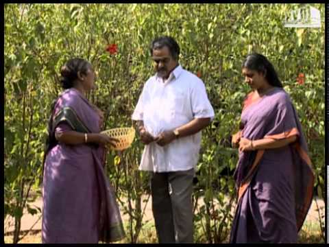 Episode 31: Akila Telugu TV Serial - AVM Productions - YouTube