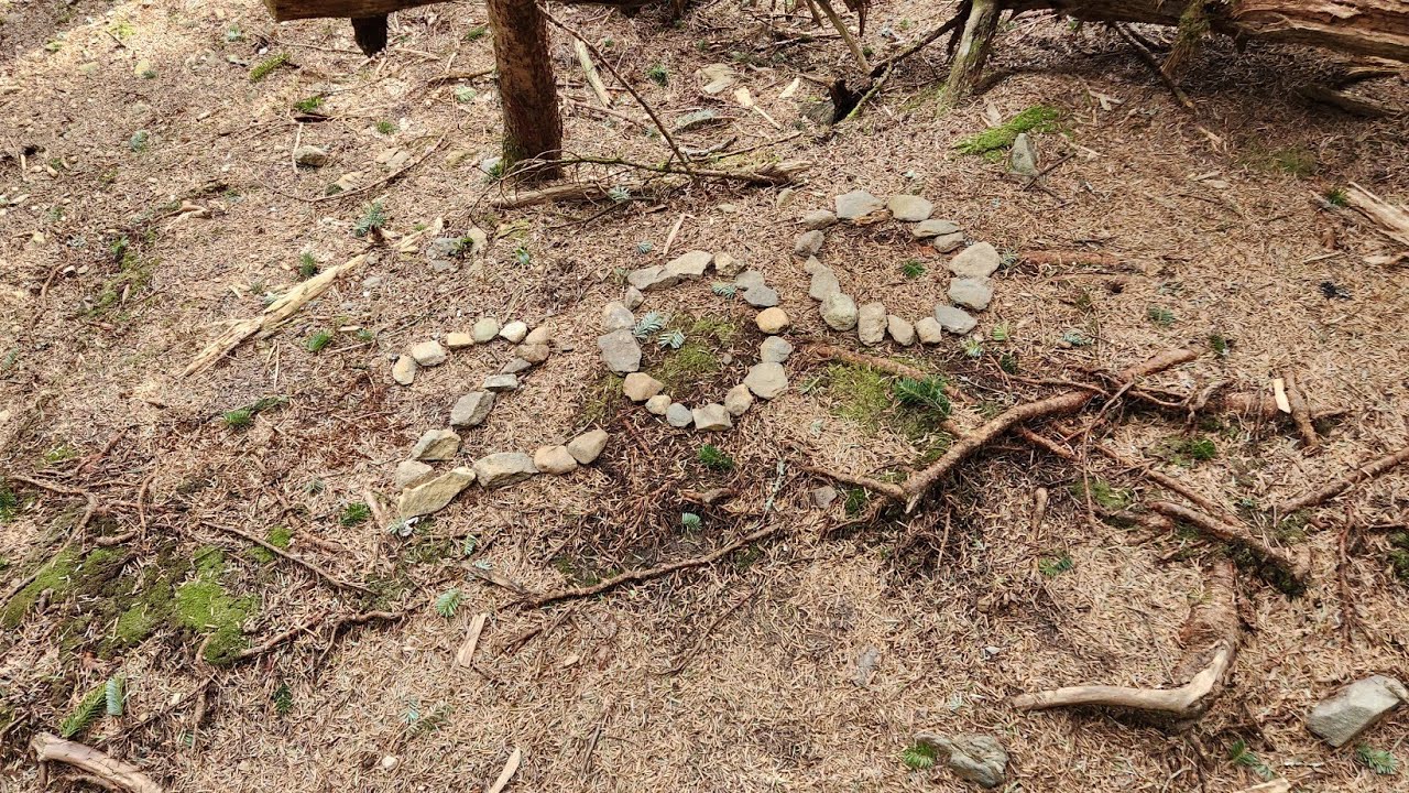Day 26 - Double Spring Gap to Newfound Gap -- I reached the 200 mile ...