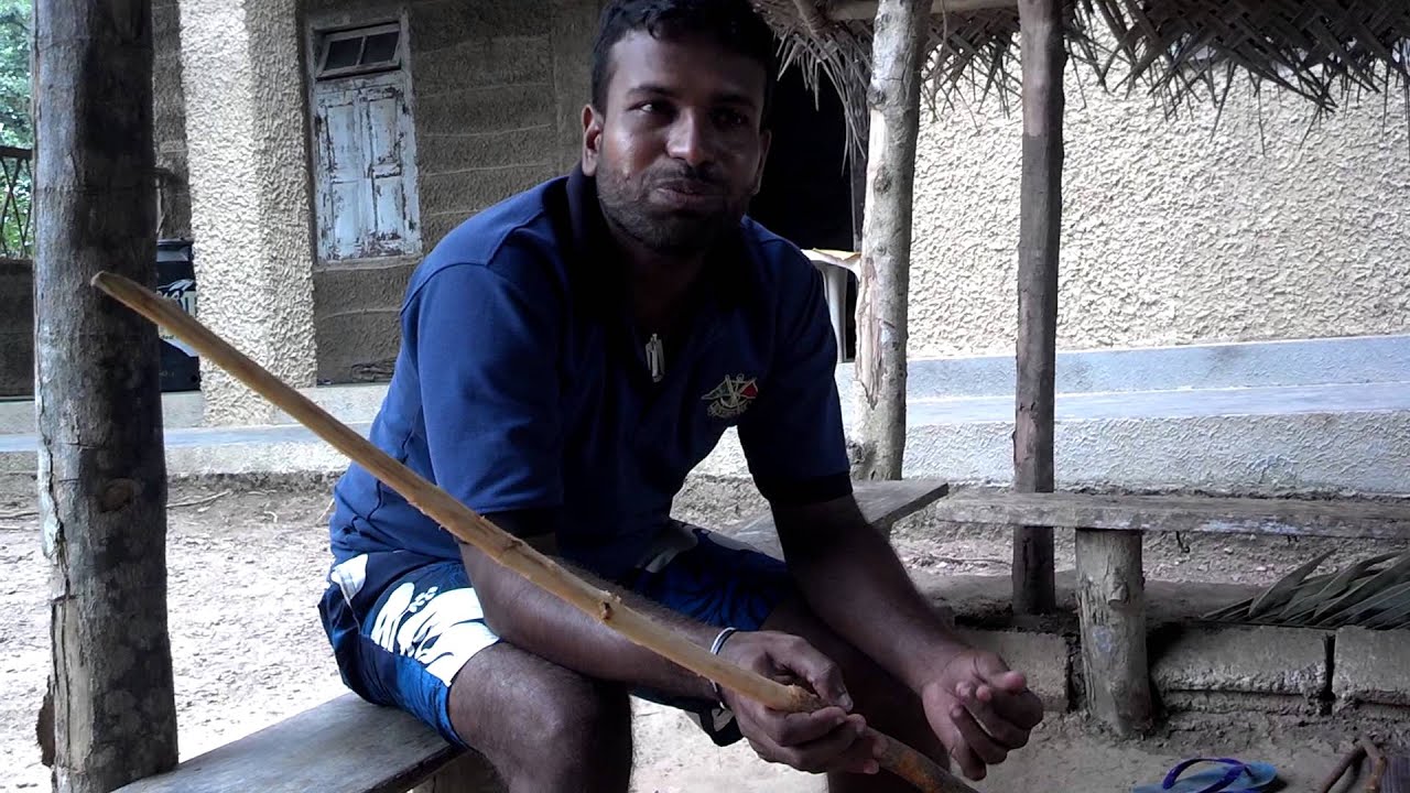 Cinnamon Island, Sri Lanka - YouTube