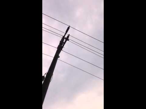 Overhead power lines buzzing. - YouTube
