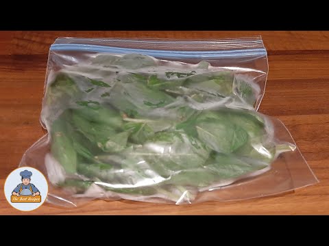 Peut-on Congeler du Basilic Frais ? Astuce et Secret !