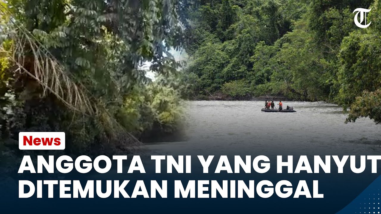 Aparat TNI yang Hanyut di Sungai Digul, Papua akibat Jembatan Putus ...