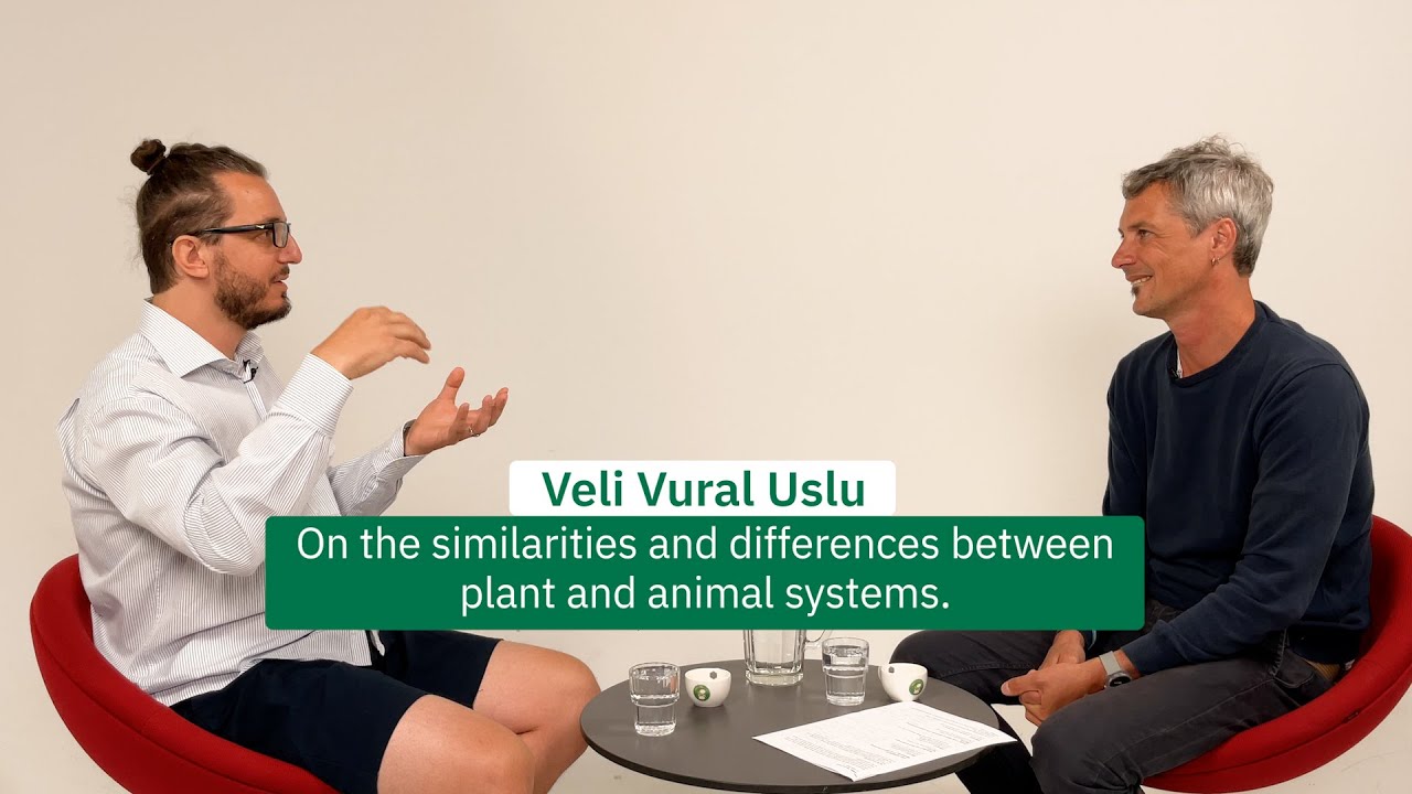 Veli Vural Uslu on the similarities and differences in animal and plant ...