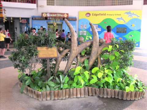 Edgefield Primary School Momories of 6 Joy 2011 Simon - YouTube