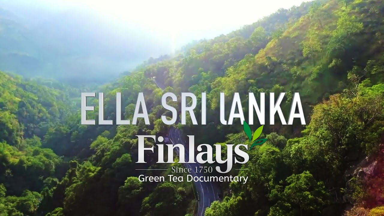 Finlays Green Tea Documentary | Ella | Srilanka [English] - YouTube