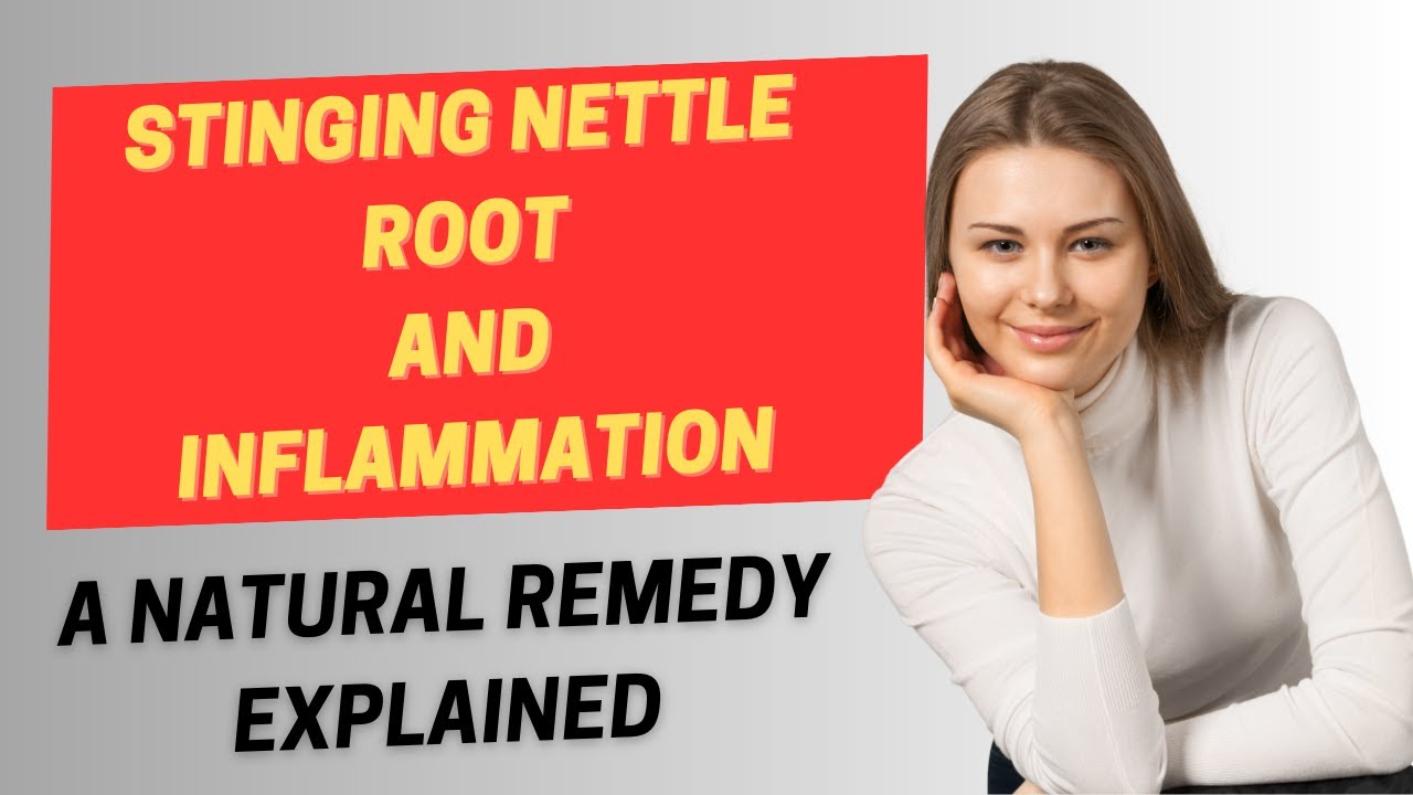 Stinging Nettle Root and Inflammation: A Natural Remedy Explained - YouTube