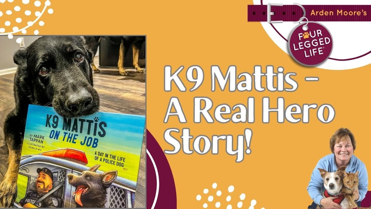K9 Mattis is A True Hero! #k9mattis #childrensbook #policedog - YouTube