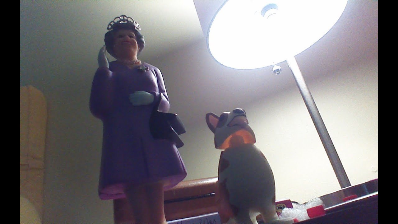 Epic punk rock corgi - YouTube