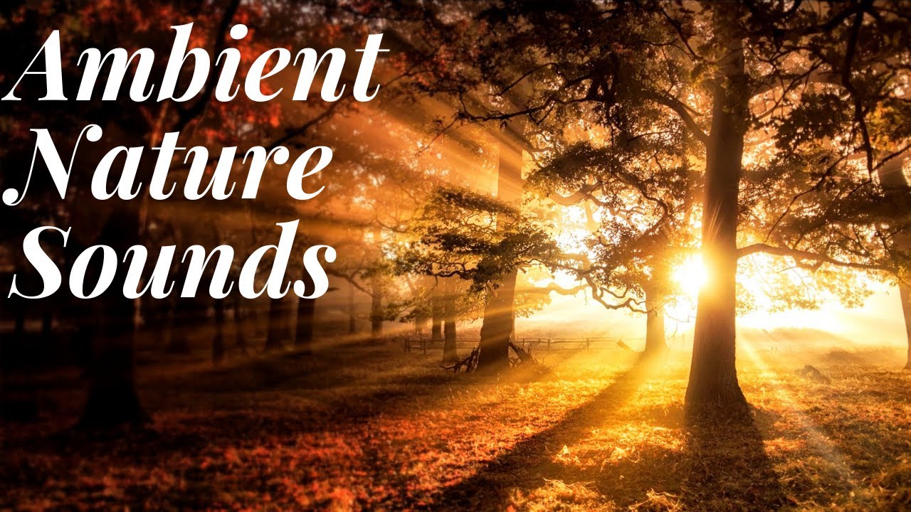 32 Minutes of Meditation Music | Sleep Music | Relaxing Spa Music ...