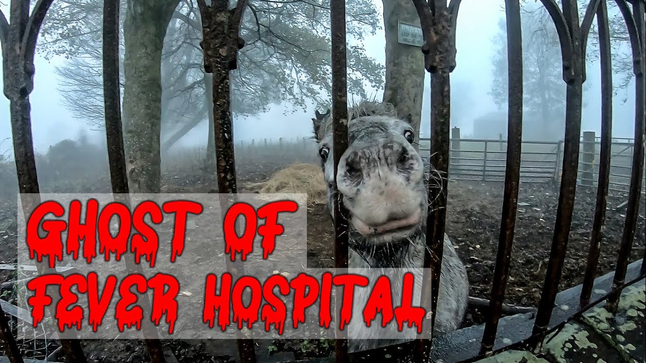 𝗕𝗥𝗔𝗗𝗙𝗢𝗥𝗗'𝗦 𝗖𝗛𝗜𝗟𝗟𝗜𝗡𝗚 𝗚𝗛𝗢𝗦𝗧 𝗦𝗧𝗢𝗥𝗬 And Strange Sightings At Fever Hospital ...