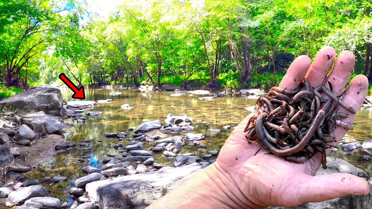 Richard Gene The Fishing Machine - Ultimate Fishing Videos