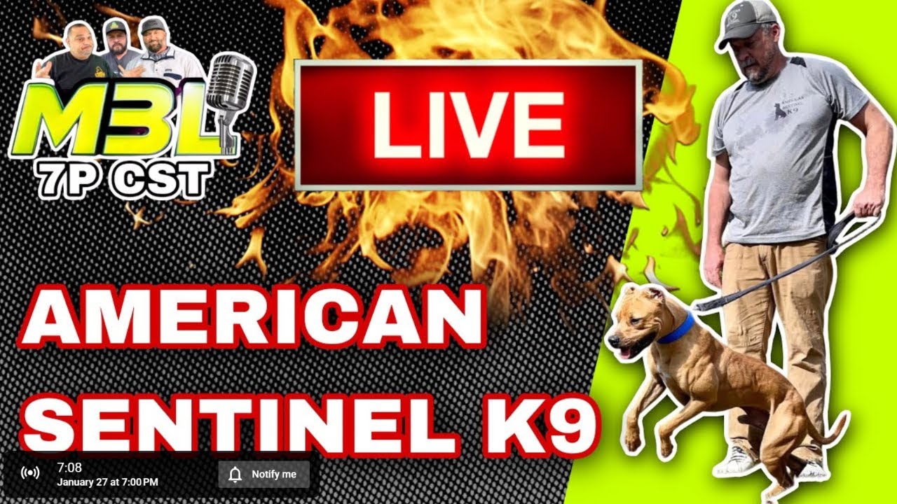 American Sentinel K9 & QBN (Raul) Kennel LIVE - YouTube