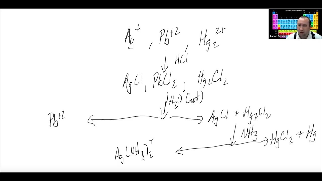 Group I cations prelab prep video - YouTube
