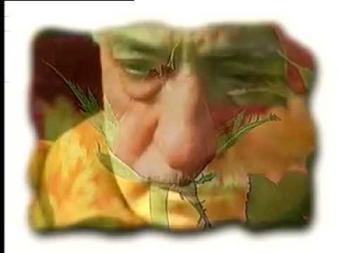 Medine'nin Gülü - M.Fethullah Gülen Hocaefendi